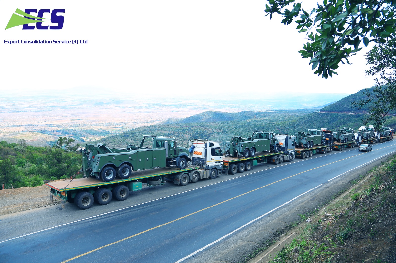 ECS–Export Consolidation Services – We are going places